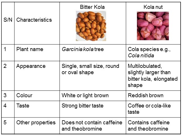 10 Health Benefits of Bitter Kola: Africa’s Natural Gift to Wellness